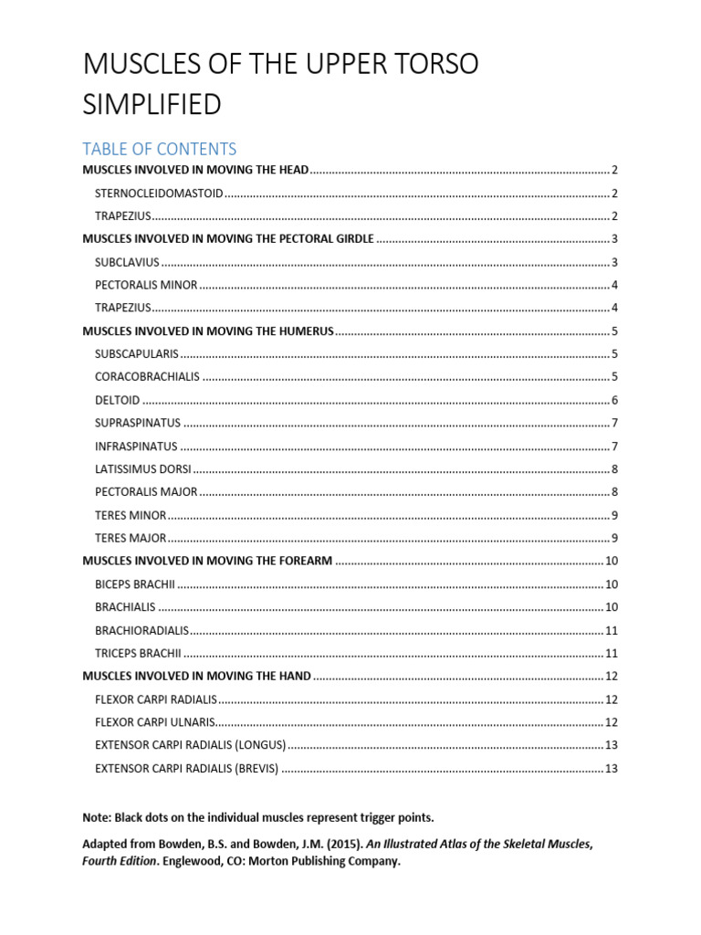 Muscles of The Upper Torso Fall 2019 | PDF | Anatomical Terms Of Motion ...