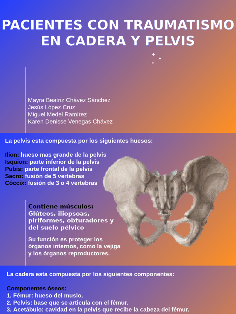 Cadera y Pelvis | PDF | Pelvis | Hueso