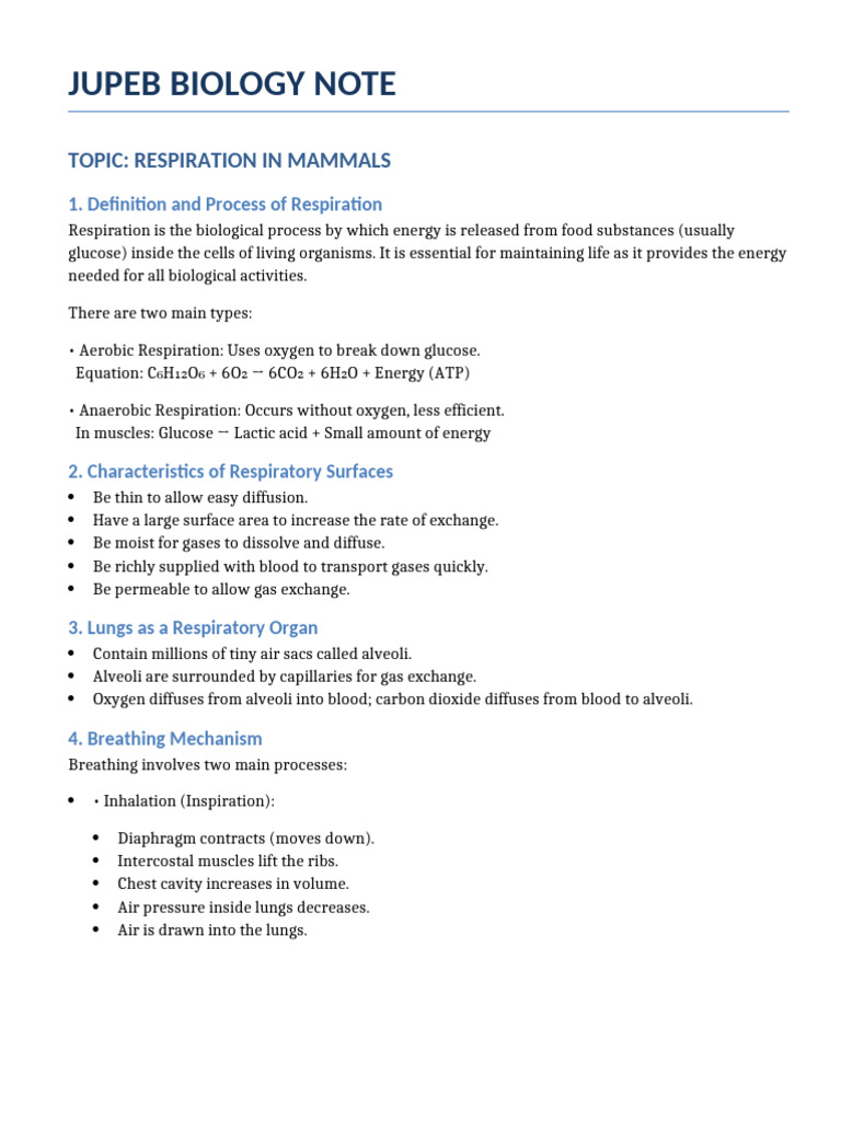 Mammalian Respiration Overview | PDF | Respiratory System | Lung