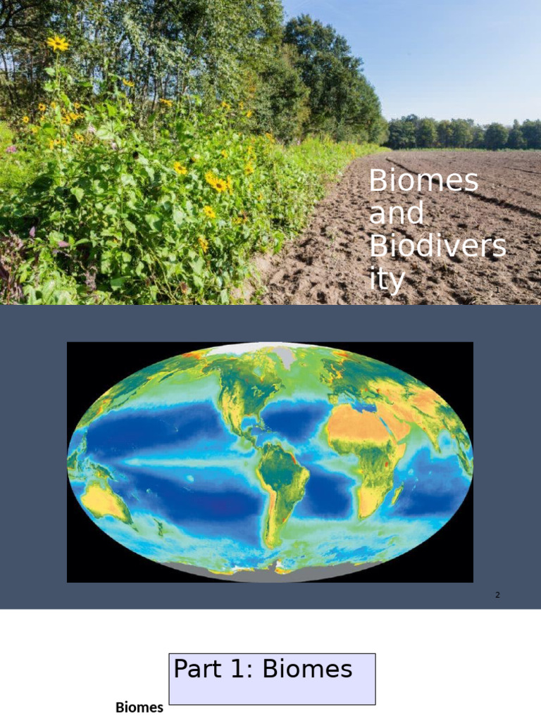 Lec. 9 Biomes and Biodiversity | PDF | Wetland | Biodiversity