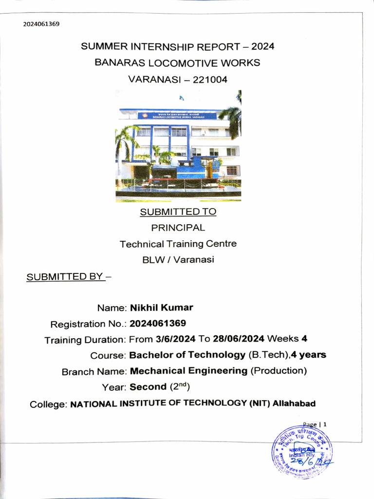 Nikhil BLW Report | PDF