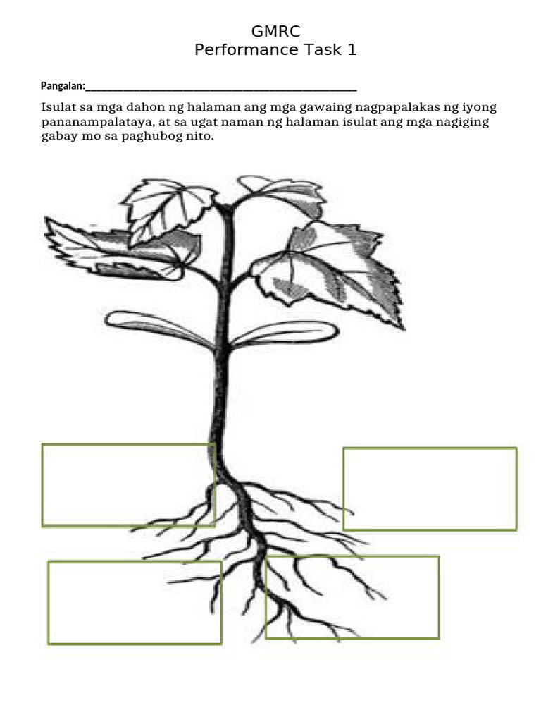 GMRC PT | PDF