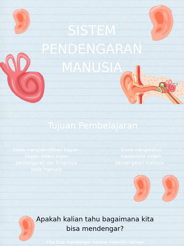 Sistem Pendengaran Manusia Presentasi Materi Biru Gaya Illustratif ...