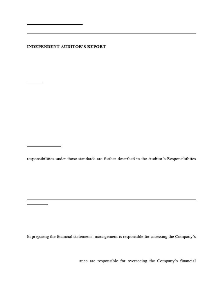 GREENCOM Auditors Note and SMR | PDF | Going Concern | Audit
