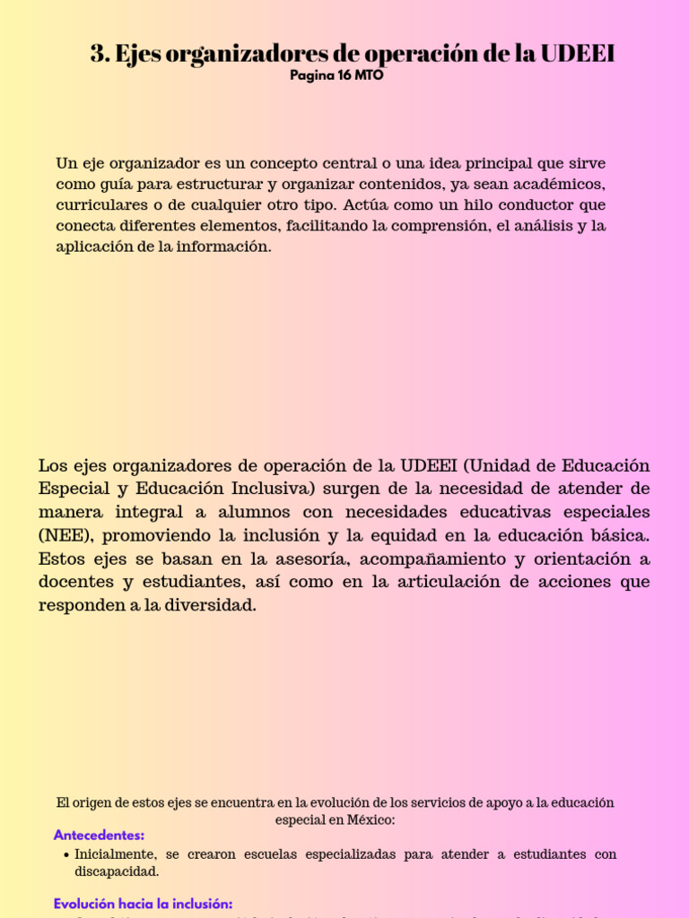 Ejes Organizadores de Operación de La UDEEI - 20250701 - 231902 - 0000 ...