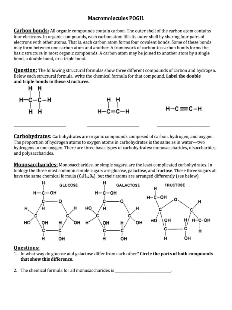 2018 Macromolecules Pogil (1) | PDF