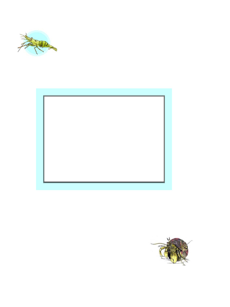 Marine Animals Word | PDF