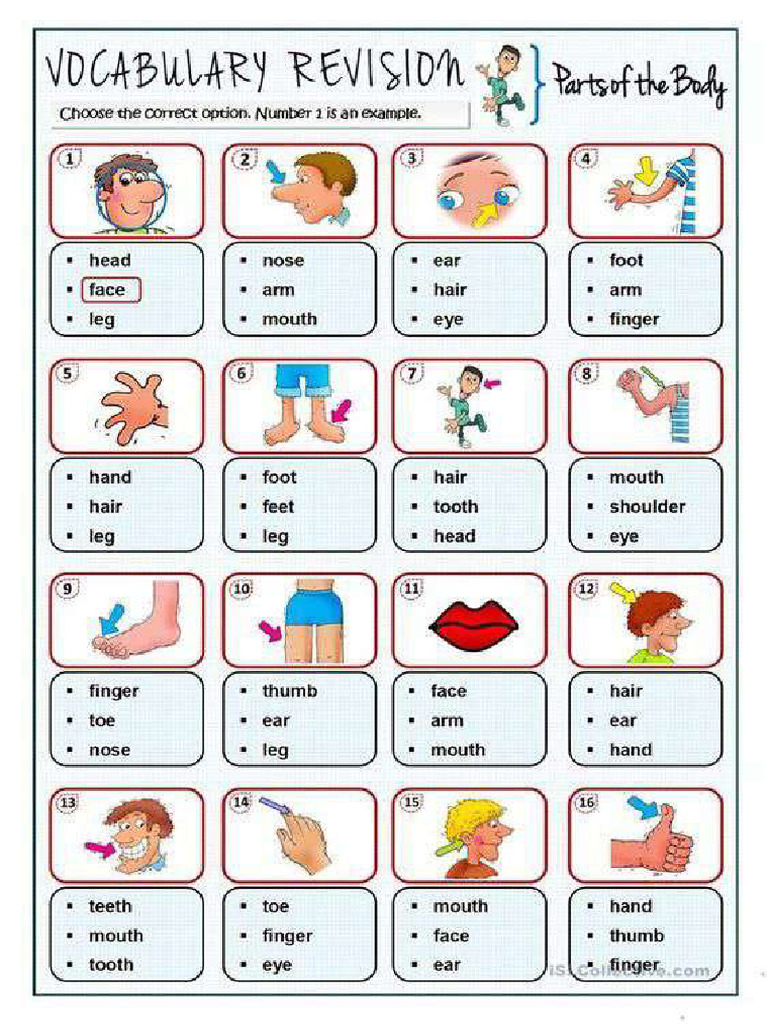 Kids Worksheet | PDF