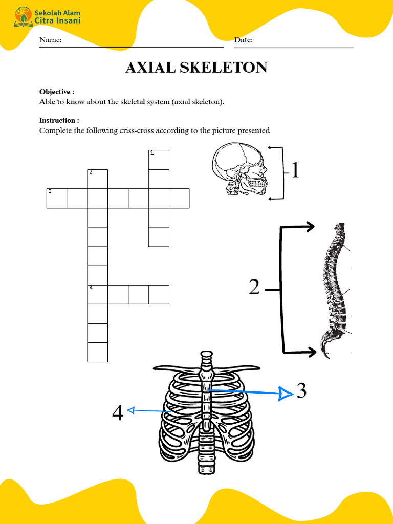 Worksheet Science Kelas 5 | PDF | Skeleton | Musculoskeletal System