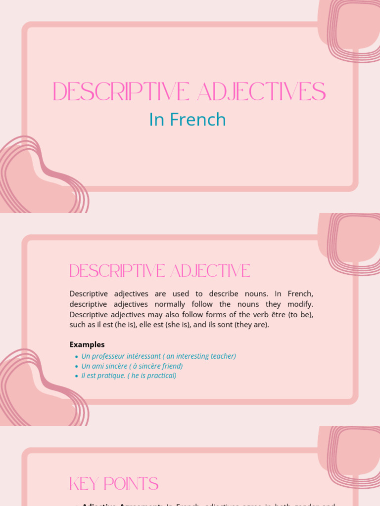 French Descriptive Adjectives Guide | PDF | Grammatical Gender | Adjective