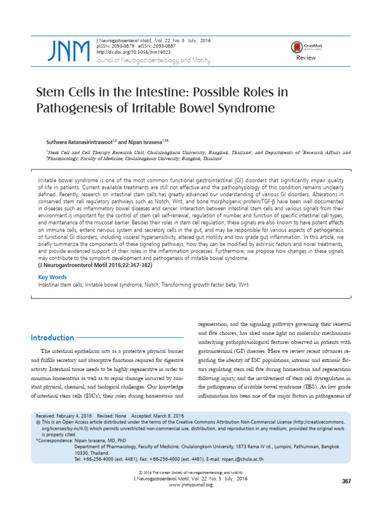 Stem Cells and IBS Pathogenesis Insights | PDF | Inflammatory Bowel ...