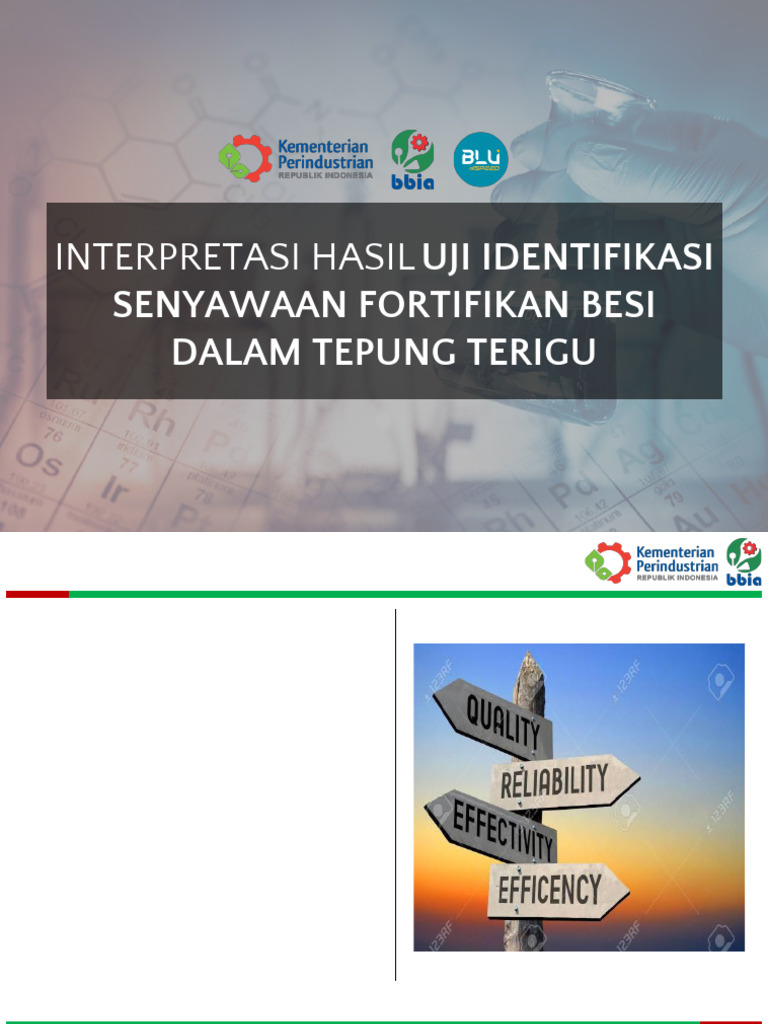 Identifikasi Senyawa Besi dalam Terigu | PDF