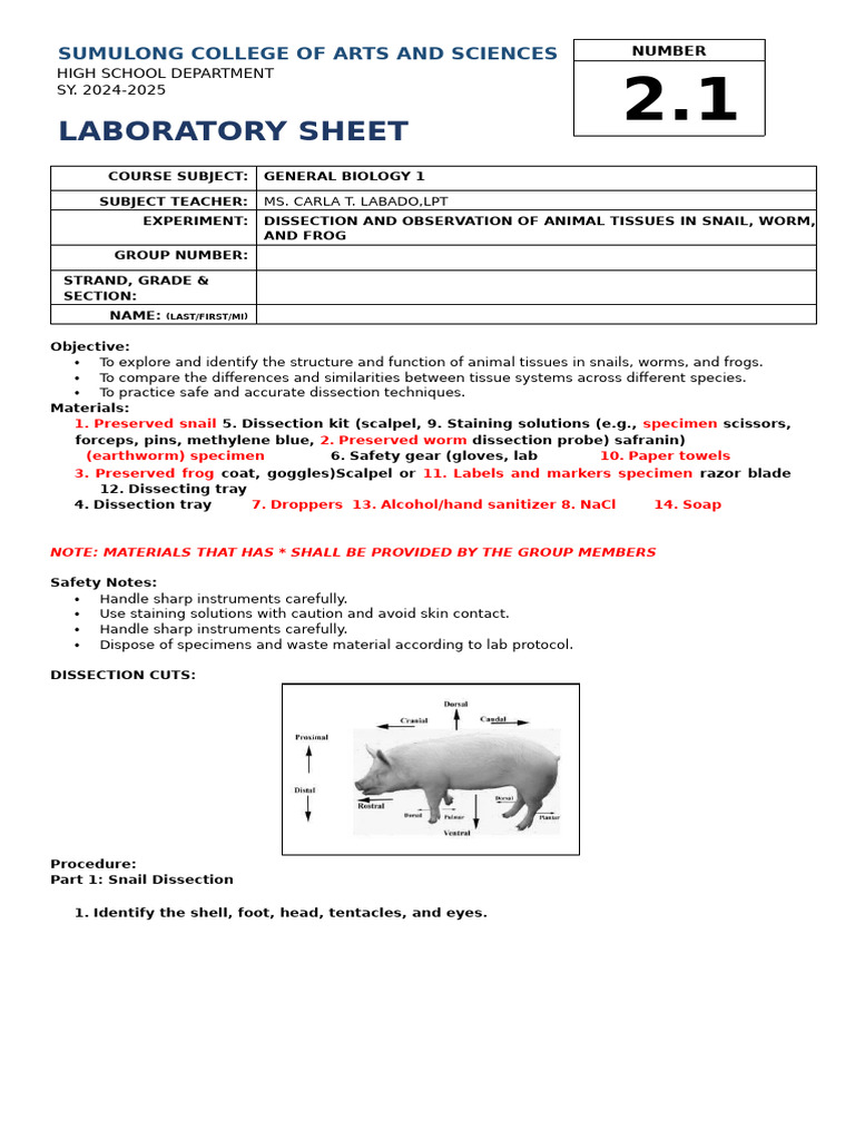 Laboratory Sheet 2.1 - Bio 1 | PDF | Digestion | Mollusca