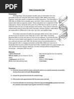 Dna Extraction Lab Report | PDF | Experiment | Dna