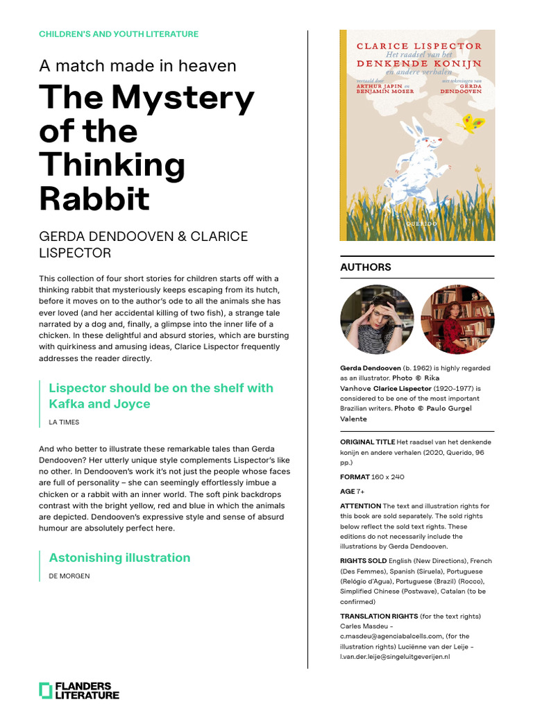 The Mystery of The Thinking Rabbit | PDF