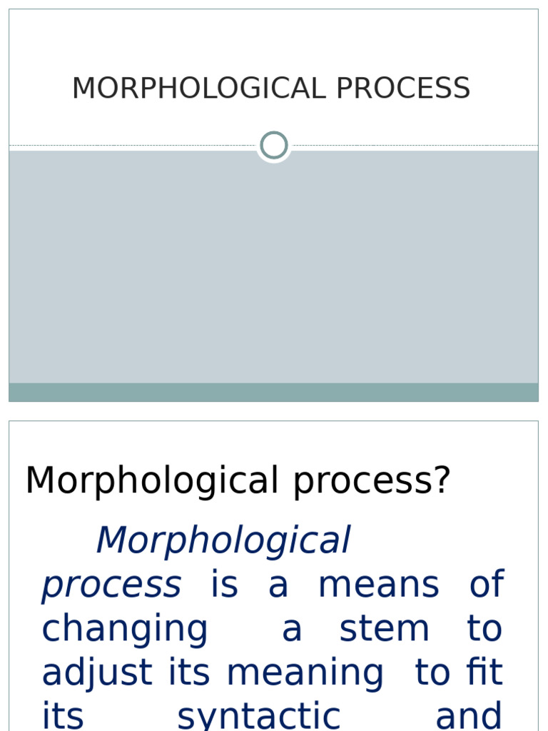 Overview of Morphological Processes | PDF | Morphology (Linguistics) | Word