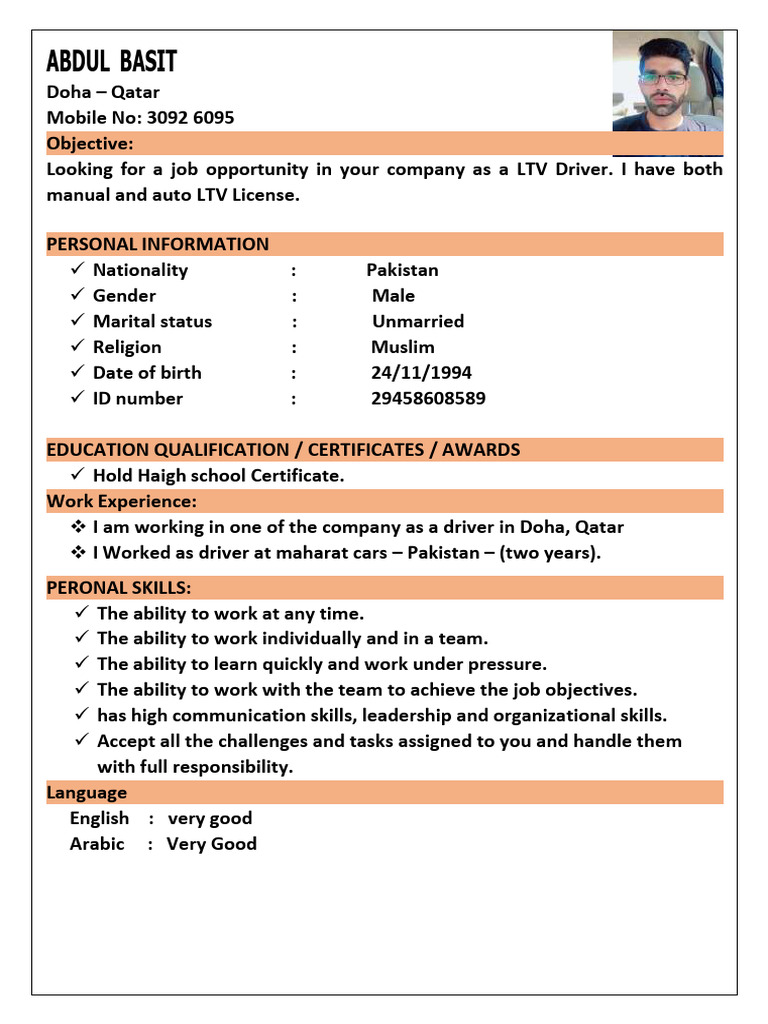 Basit CV | PDF