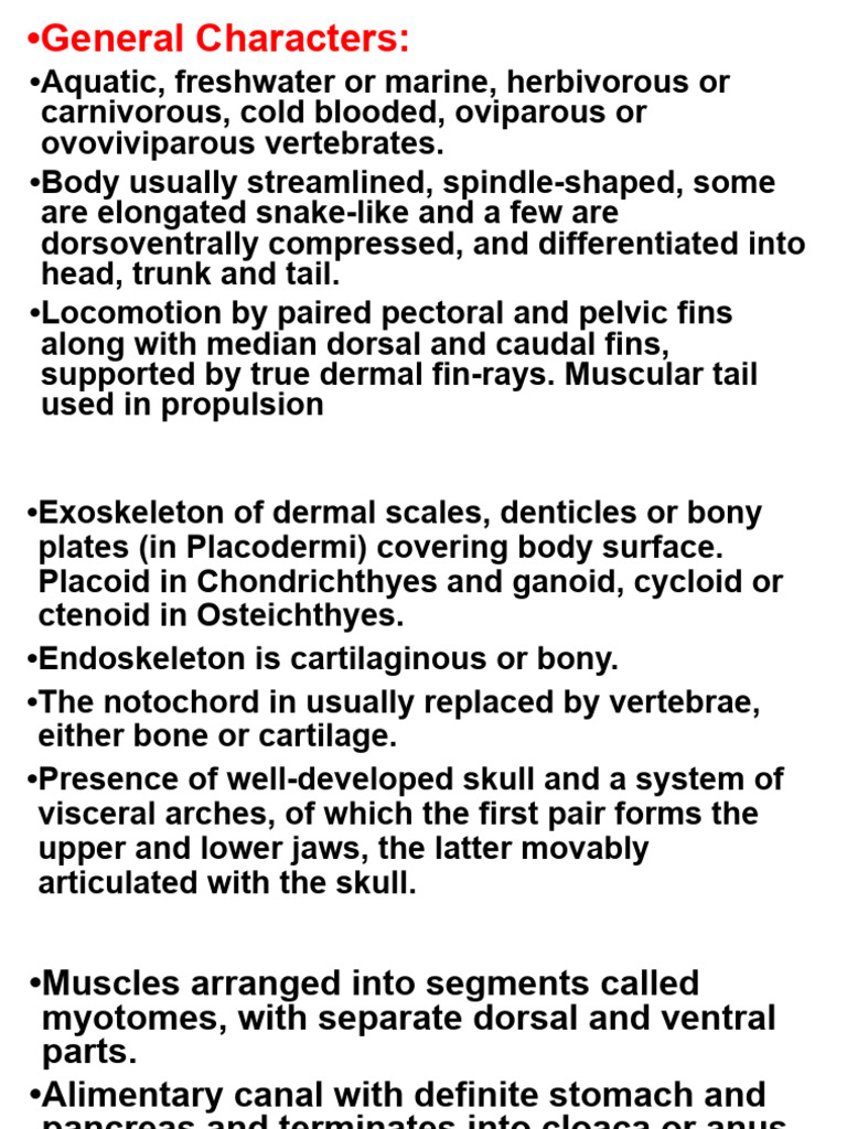 Anatomy and Function of Fish Swim Bladder | PDF | Lung | Breathing