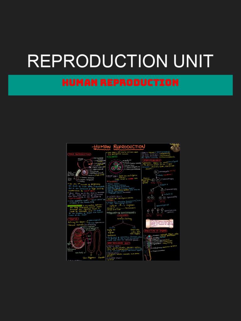 Class 12th Complete Zoology Mind Map | PDF