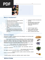 ASCIA Action Plan Anaphylaxis Anapen 2025 | PDF | Allergy | Medical ...