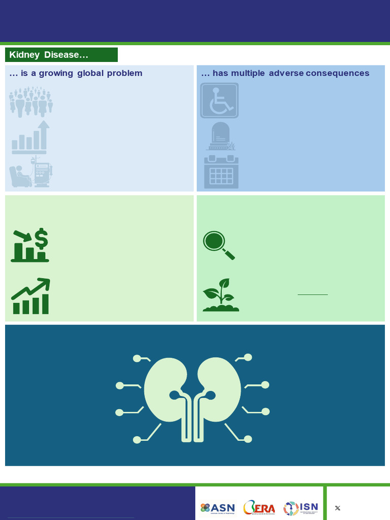 CKD and Global Public Agenda Infographics | PDF | Chronic Kidney ...