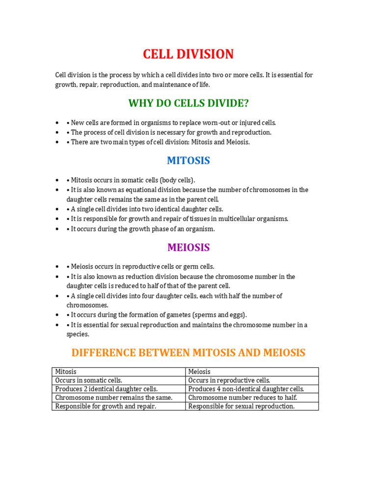 Class 9 Cell Division Notes | PDF