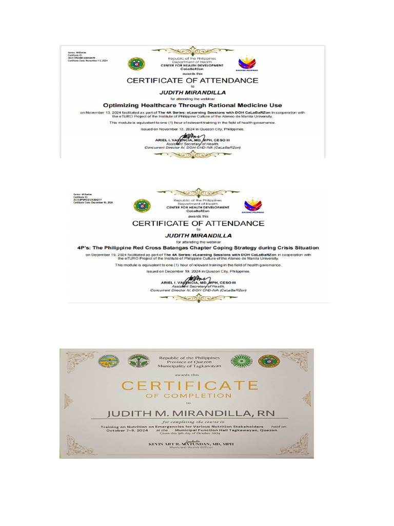 Ldi Certificate | PDF