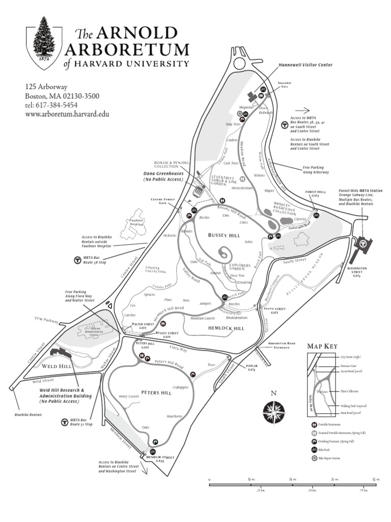 Arnold Arboretum Visitor Map | PDF | Trees | Plants