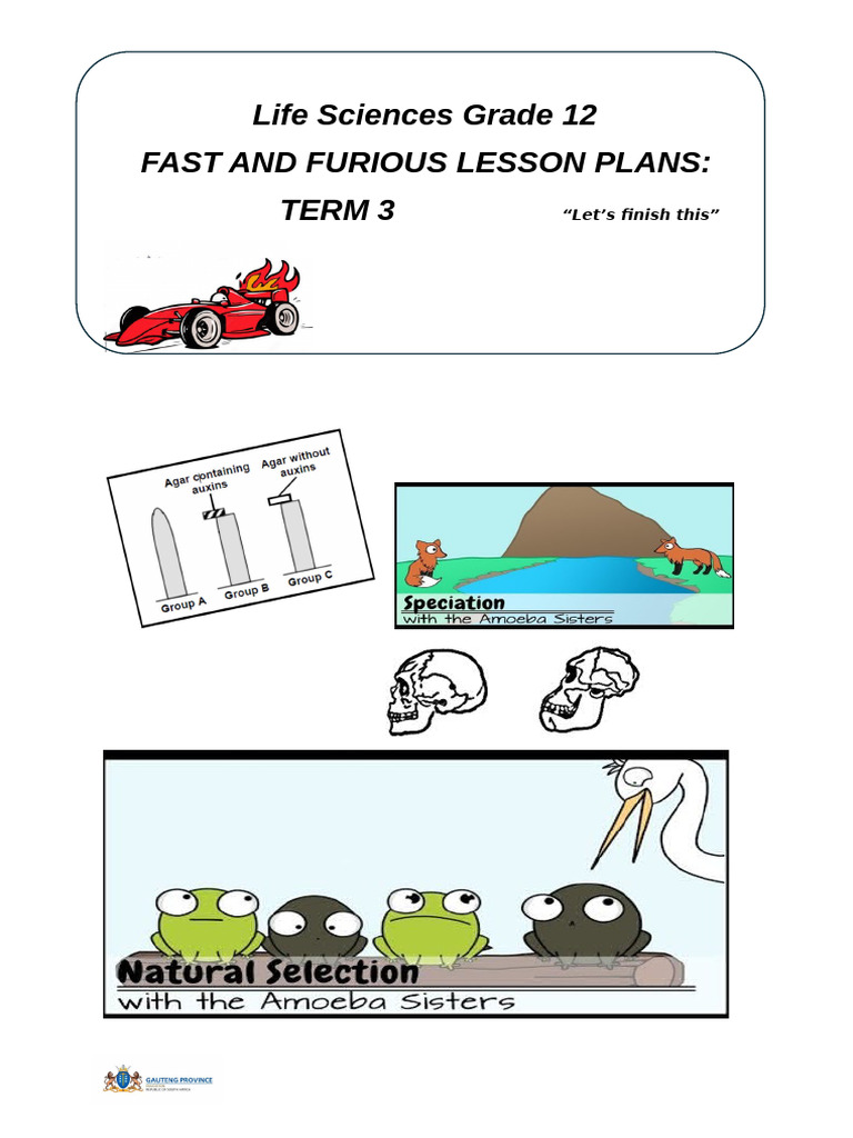 Grade 12 Life Sciences Lesson Plans | PDF | Natural Selection | Homo