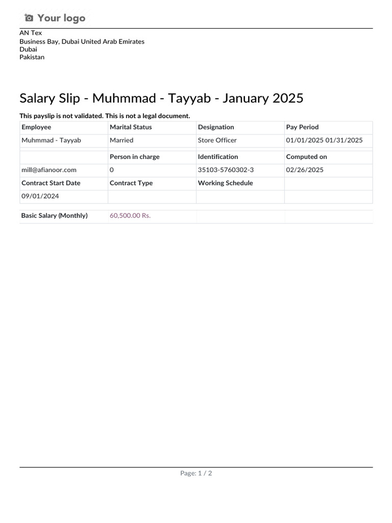 Payslip - Salary Slip - Muhmmad - Tayyab - January 2025 | PDF ...