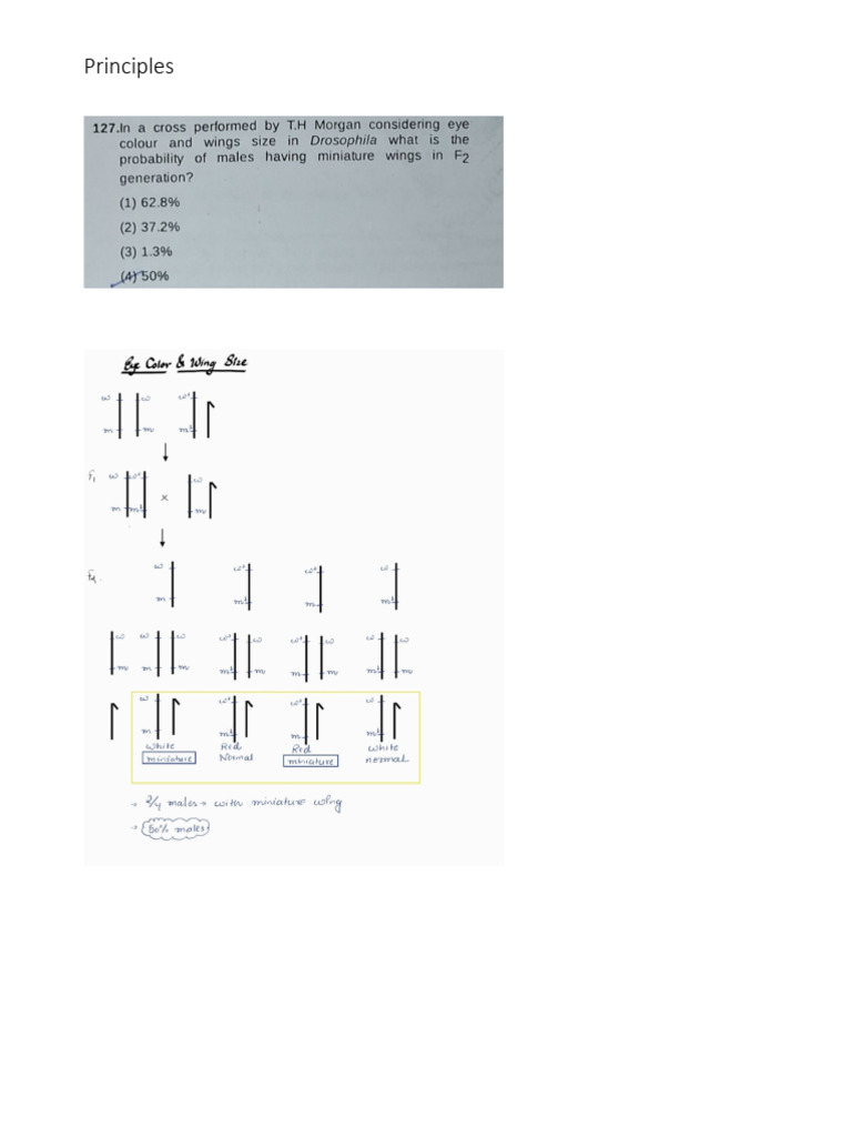 Gamete Cross Analysis: RrYy Genotypes | PDF