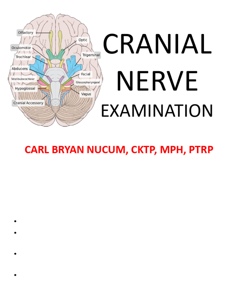 Cranial Nerve Testing | PDF | Sensory Organs | Human Anatomy