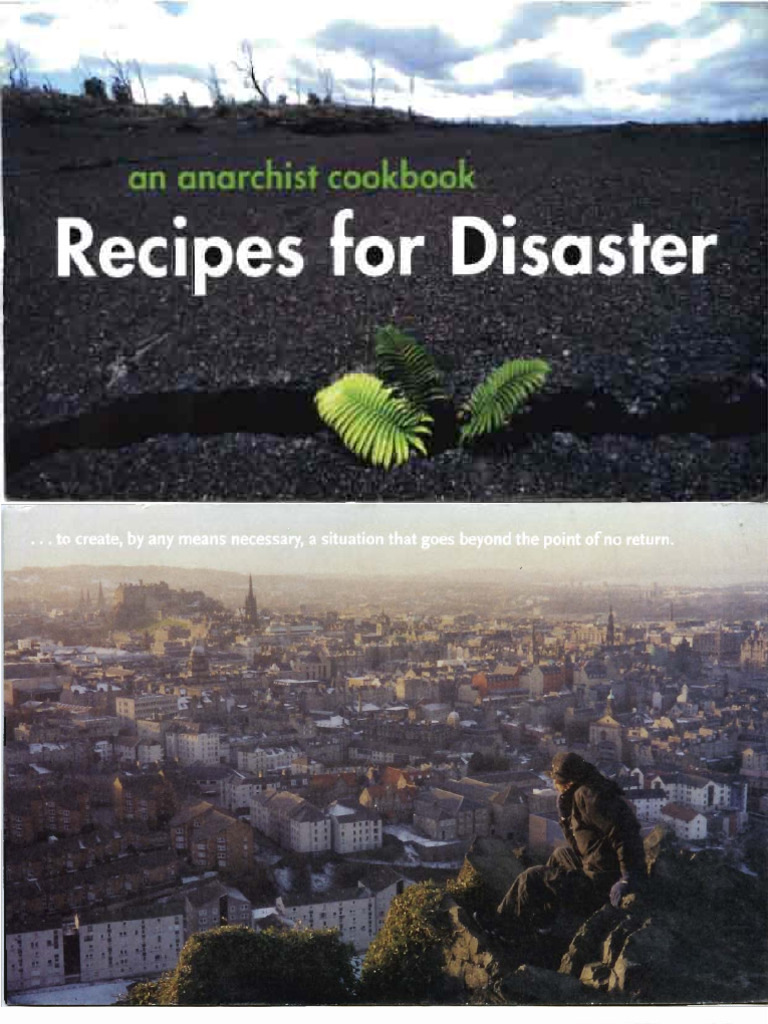 Recipes For Disaster - Cleaned | PDF