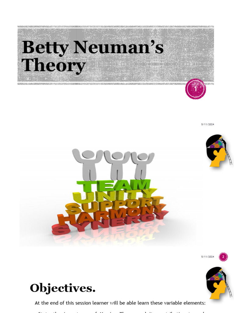 Overview of Neuman's Nursing Theory | PDF | Stress (Biology) | Nursing
