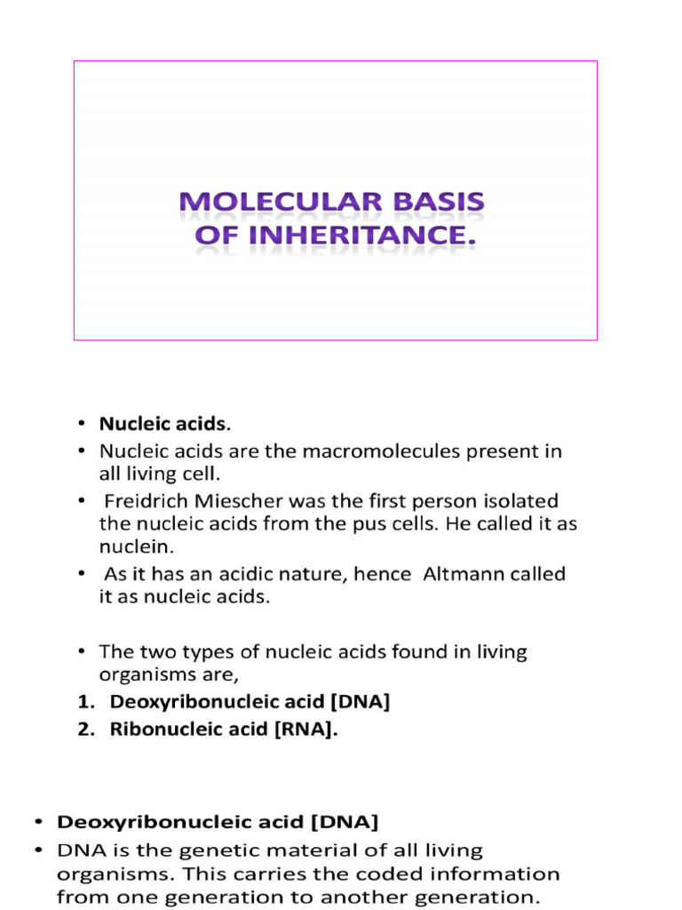 Ls-6 Molecular Basis of Inheritance | PDF | Dna | Polymerase Chain Reaction