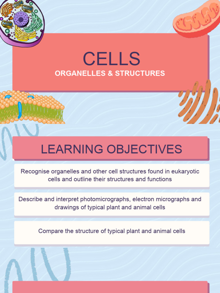 Chapter 1. Cell Structures | PDF | Endoplasmic Reticulum | Cell (Biology)