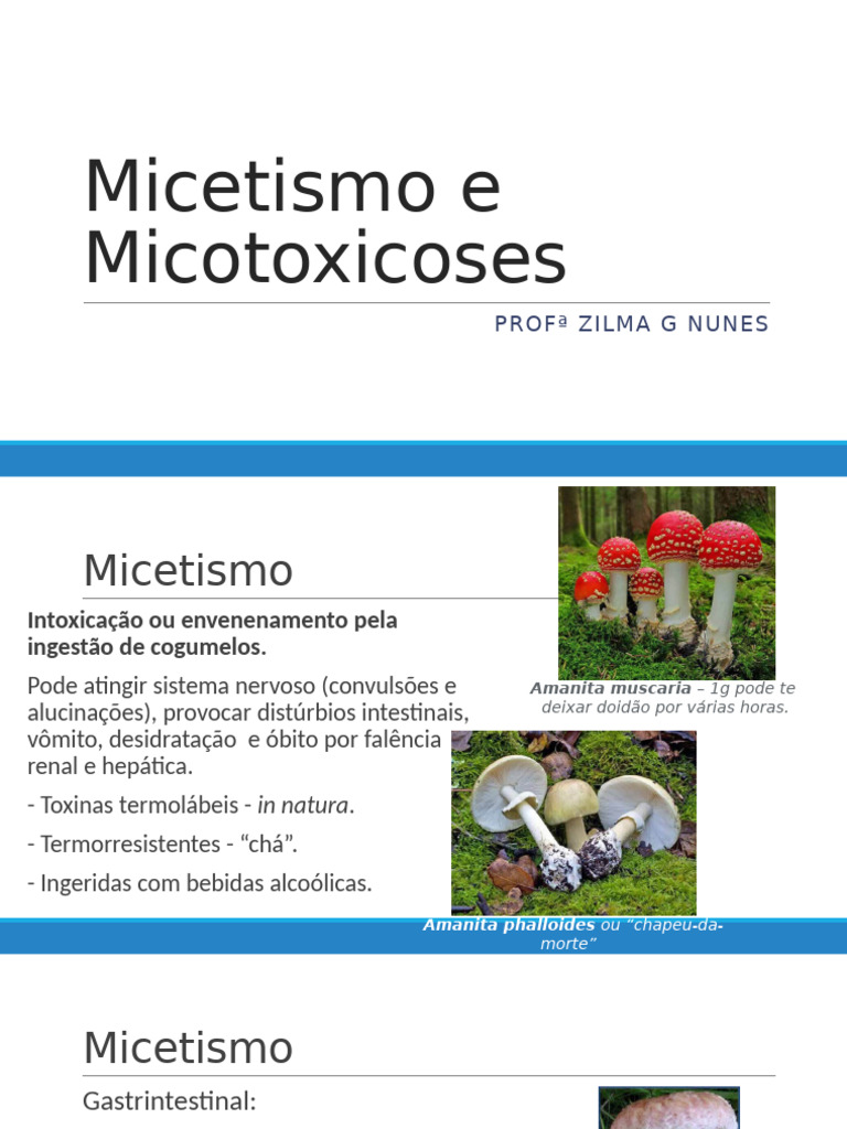 Micetismo e Micotoxicoses: Riscos e Efeitos | PDF | Micotoxina | Fungo