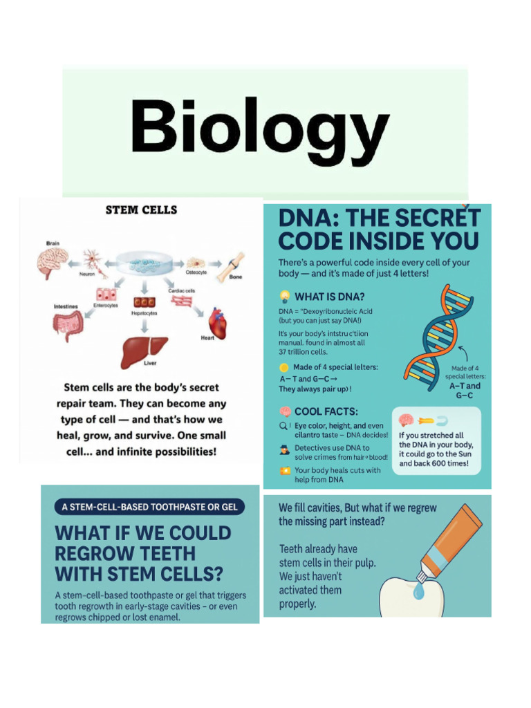 Biology Display | PDF
