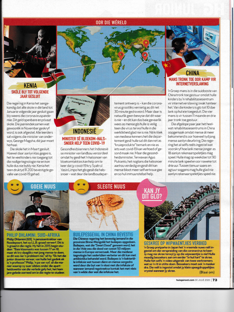 Afrikaans Article | PDF