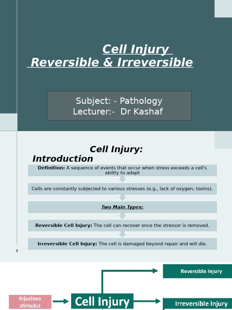 Reversible vs Irreversible Cell Injury | PDF