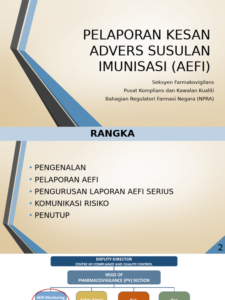 PN Norshazareen - Pelaporan Kesan Advers Susulan Imunisasi (AEFI) | PDF