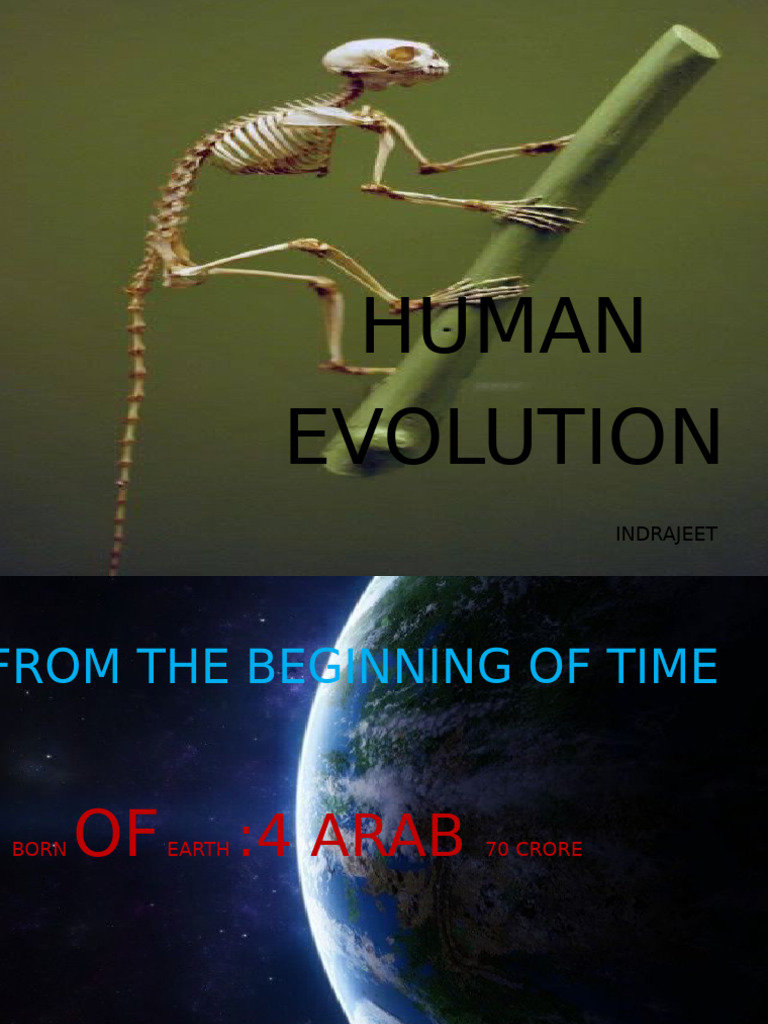 Chapter 1 History | PDF