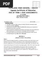 s4 Paper Pre Mock2025 | PDF