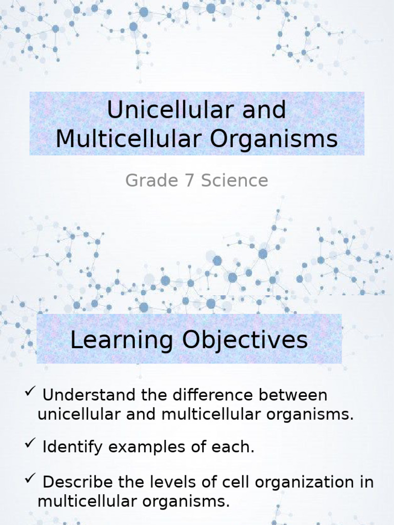 Unicellular Vs Multicellular Grade7 | PDF | Cell (Biology) | Microorganism