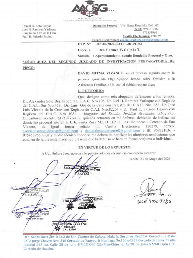 David Mitma Vivanco Apersonamiento | PDF