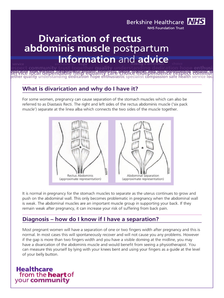 Understanding Diastasis Recti in Pregnancy | PDF | Abdomen ...