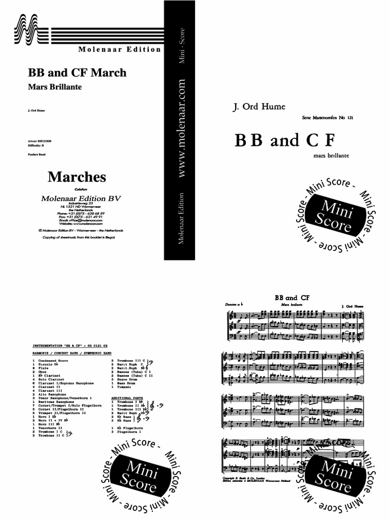 Mini Score | PDF