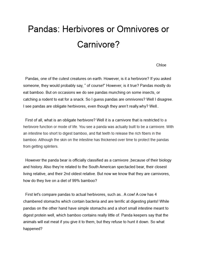 Pandas - Herbivores or Omnivores? | PDF | Giant Panda | Bears
