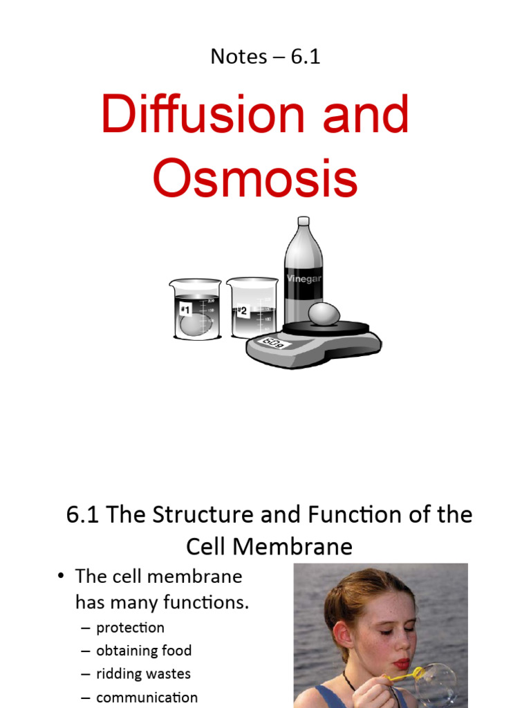 6 1 Osmosis And Diffusion Powerpoint | Pdf | Osmosis | Cell Membrane