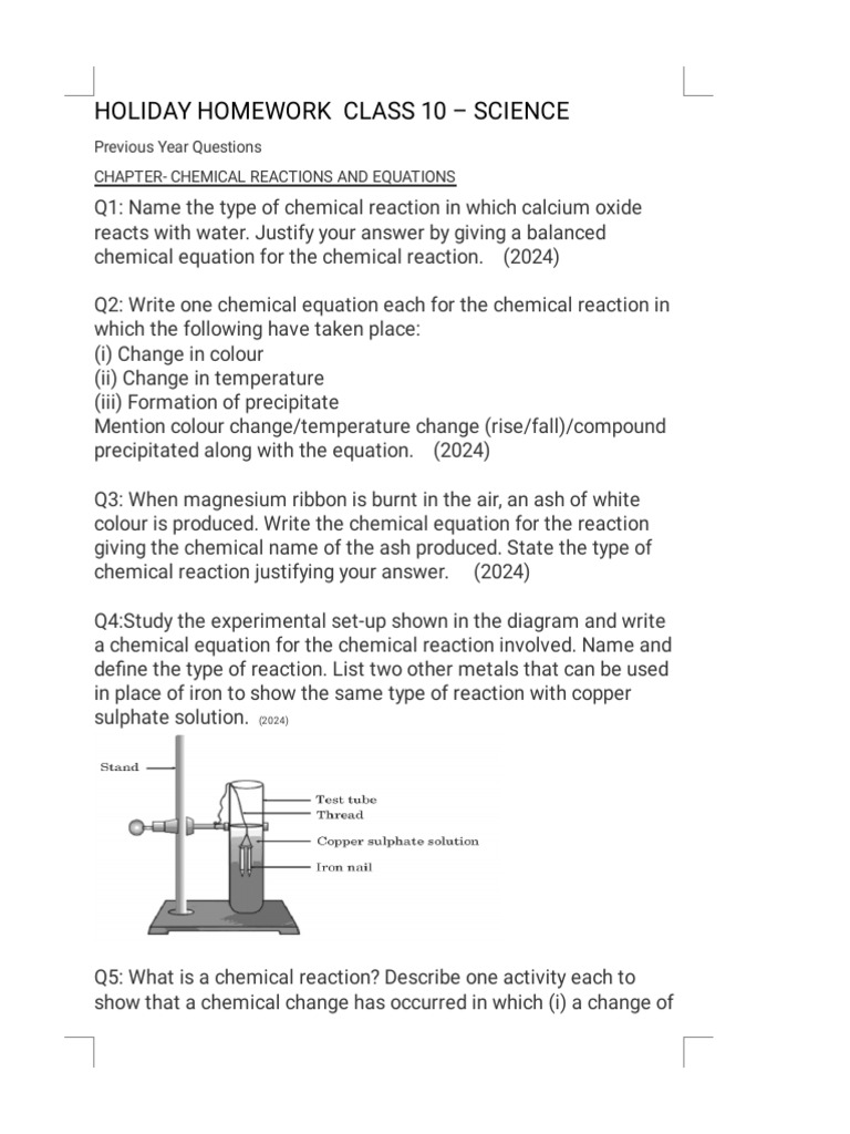 Class 10 Science Holiday Homework | PDF | Chemical Reactions | Chloride
